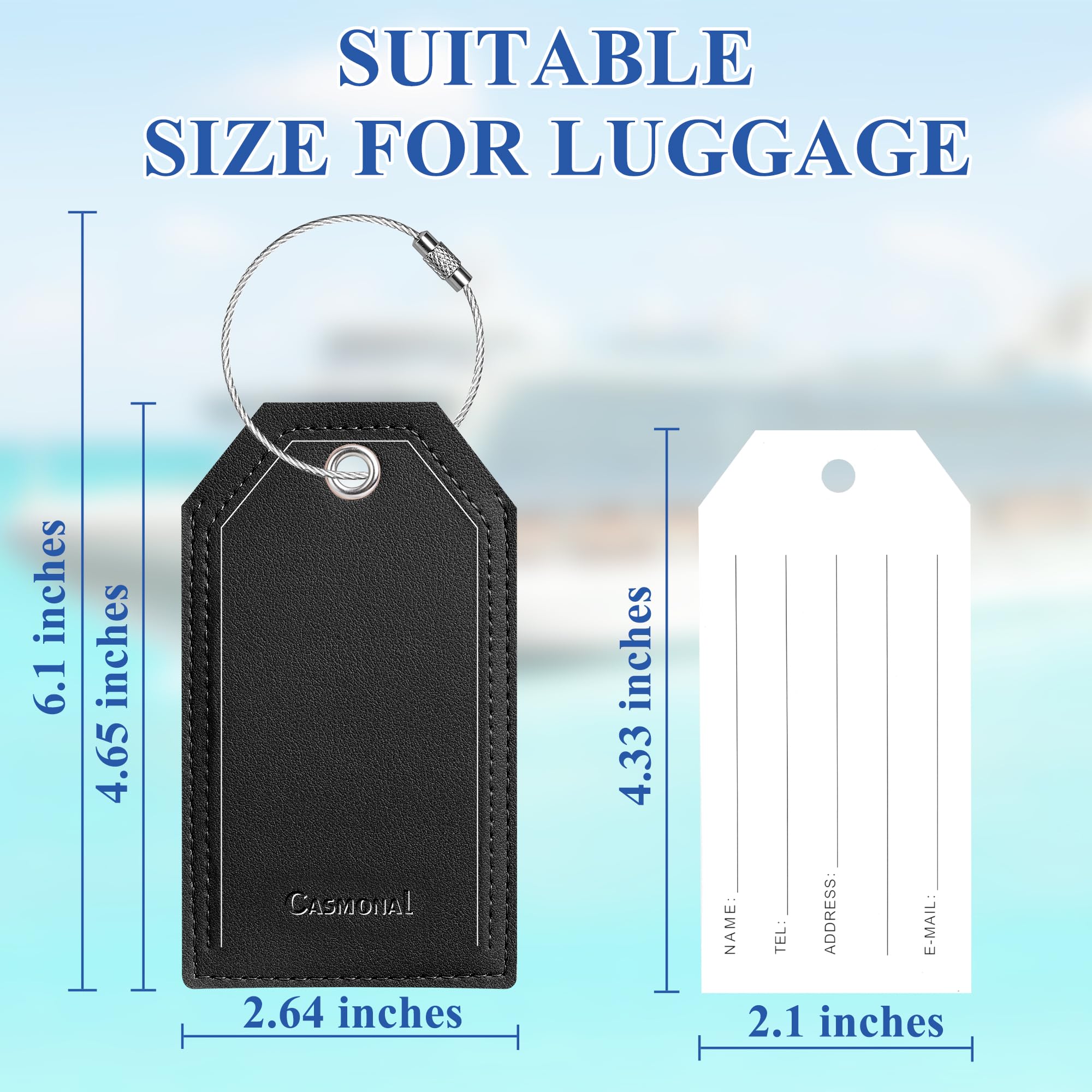 Casmonal Luggage Tags with Full Back Privacy Cover w/Steel Loops (Black 02 pcs Set)