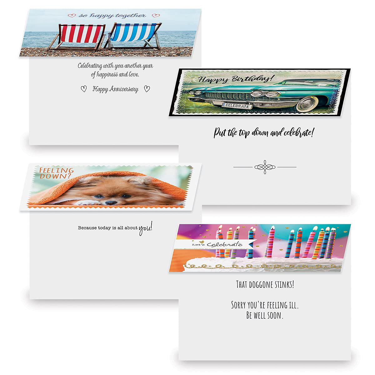 Current Modern Messages All Occasion Value Pack With Seals-40 Cards & Envelopes, Celebration, Get Well, Sympathy, Birthday, Holiday, & Thinking of You Variety, Large 5" x 7" Assortment, 20 Design Set