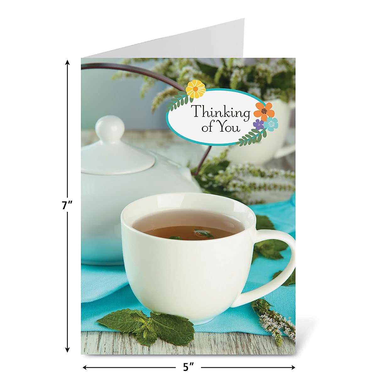 Current Modern Messages All Occasion Value Pack With Seals-40 Cards & Envelopes, Celebration, Get Well, Sympathy, Birthday, Holiday, & Thinking of You Variety, Large 5" x 7" Assortment, 20 Design Set