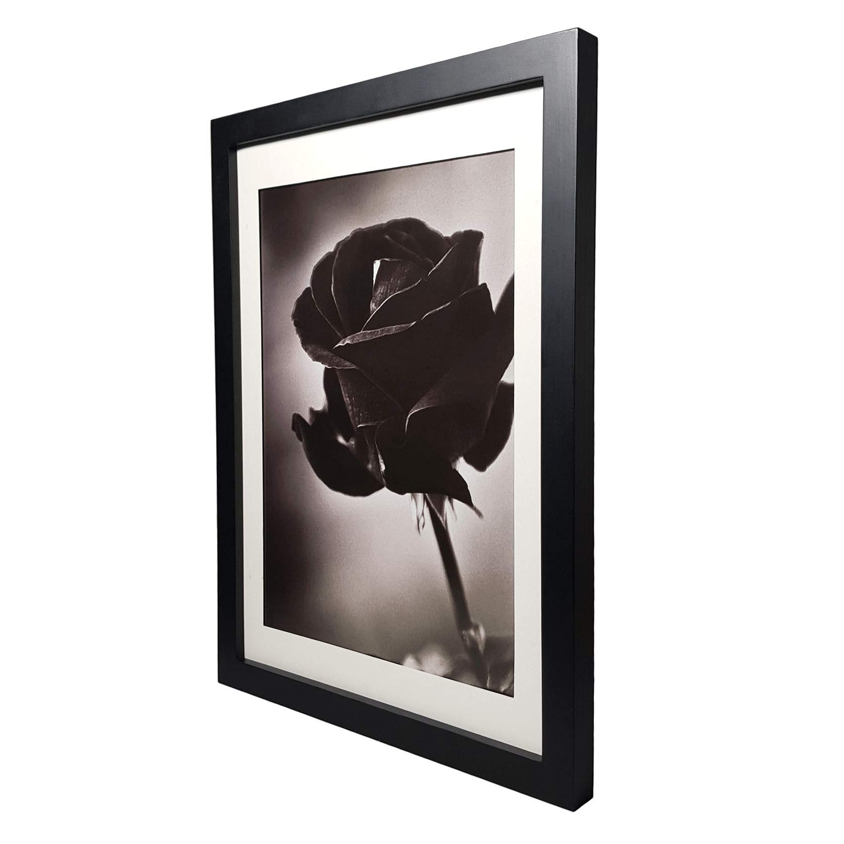 FUNTRESS Pictures Frame Collages for Diplomas Wall Hanging Poster Frame Wooden Living Room Pictures Frame with Mat (10x14 2 Pieces, Black)
