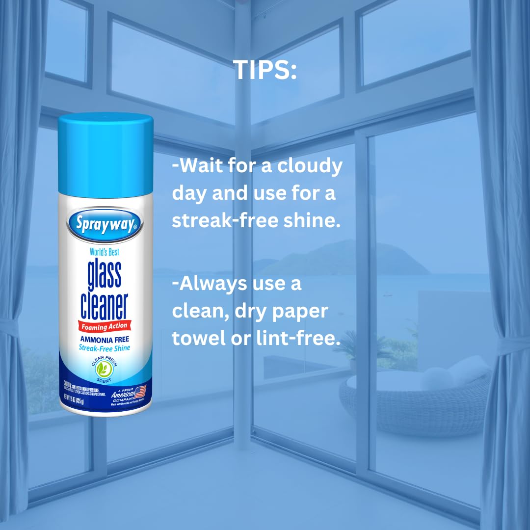 Sprayway Ammonia-Free Glass Cleaner, Foaming Action - Streakless Shine, 1 Count (New & old versions are shipped randomly)