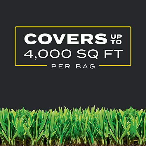 Scotts Turf Builder Triple Action - Weed Killer & Preventer, Lawn Fertilizer, Prevents Crabgrass, Kills Dandelion, Clover, Chickweed & More, Covers up to 4,000 sq. ft., 20 lb.