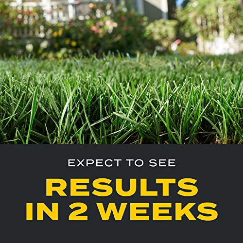 Scotts Turf Builder Triple Action - Weed Killer & Preventer, Lawn Fertilizer, Prevents Crabgrass, Kills Dandelion, Clover, Chickweed & More, Covers up to 4,000 sq. ft., 20 lb.