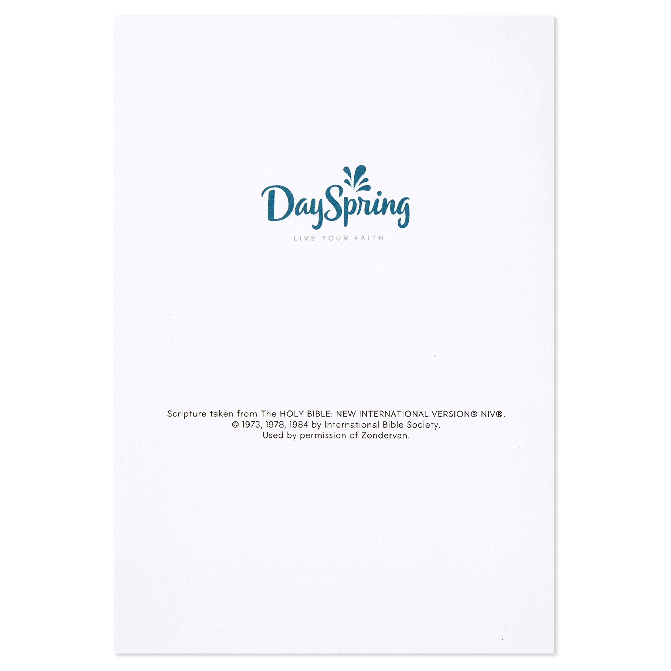 Dayspring Assorted Religious Birthday Cards (Christian Blessings, 12 Cards and Envelopes)
