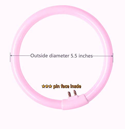 amgolibi Replacement Bulb for Conair Makeup Mirror 5.5 Inches T4 12W Circular Bulb Compatible with Conair BE116, BE116T, BE116TX, BE121, BE122