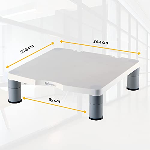 Fellowes Standard Monitor Riser (91712), Platinum/Graphite