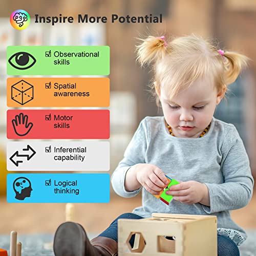 Vdealen Speed Cube Set, Magic Cube Pack of 2x2 3x3 4x4 2x2x3 Pyramid Skewb Dodecahedron Six Spot Infinite Ivy Puzzle Cube Bundle, Christmas Birthday Party Toy Gifts for Kids Teens Adults (10 Pack)