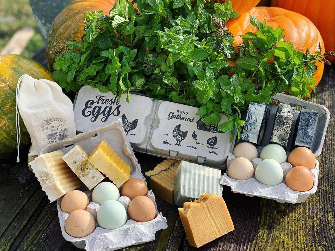Half Dozen Empty Egg Cartons- Bulk 50 Full Dozen Can Split to 100 Half Dozen Size- Securely Holds 6 or 12 Extra Large Eggs