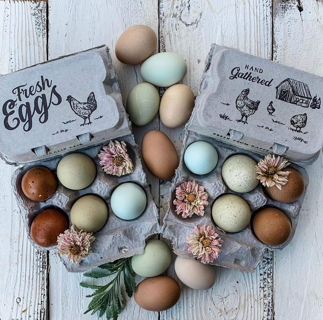 Half Dozen Empty Egg Cartons- Bulk 50 Full Dozen Can Split to 100 Half Dozen Size- Securely Holds 6 or 12 Extra Large Eggs