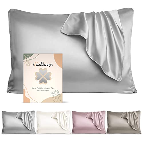iCooBreeze 100% Pure Silk Toddler Pillowcases,Mulberry Silk Double Sided Pillow Case with Hidden Zipper,Organic Pillow Covers for Baby Kid Toddler Boys Girls, Toddler (13"X18") 1 Pack, Silver Grey