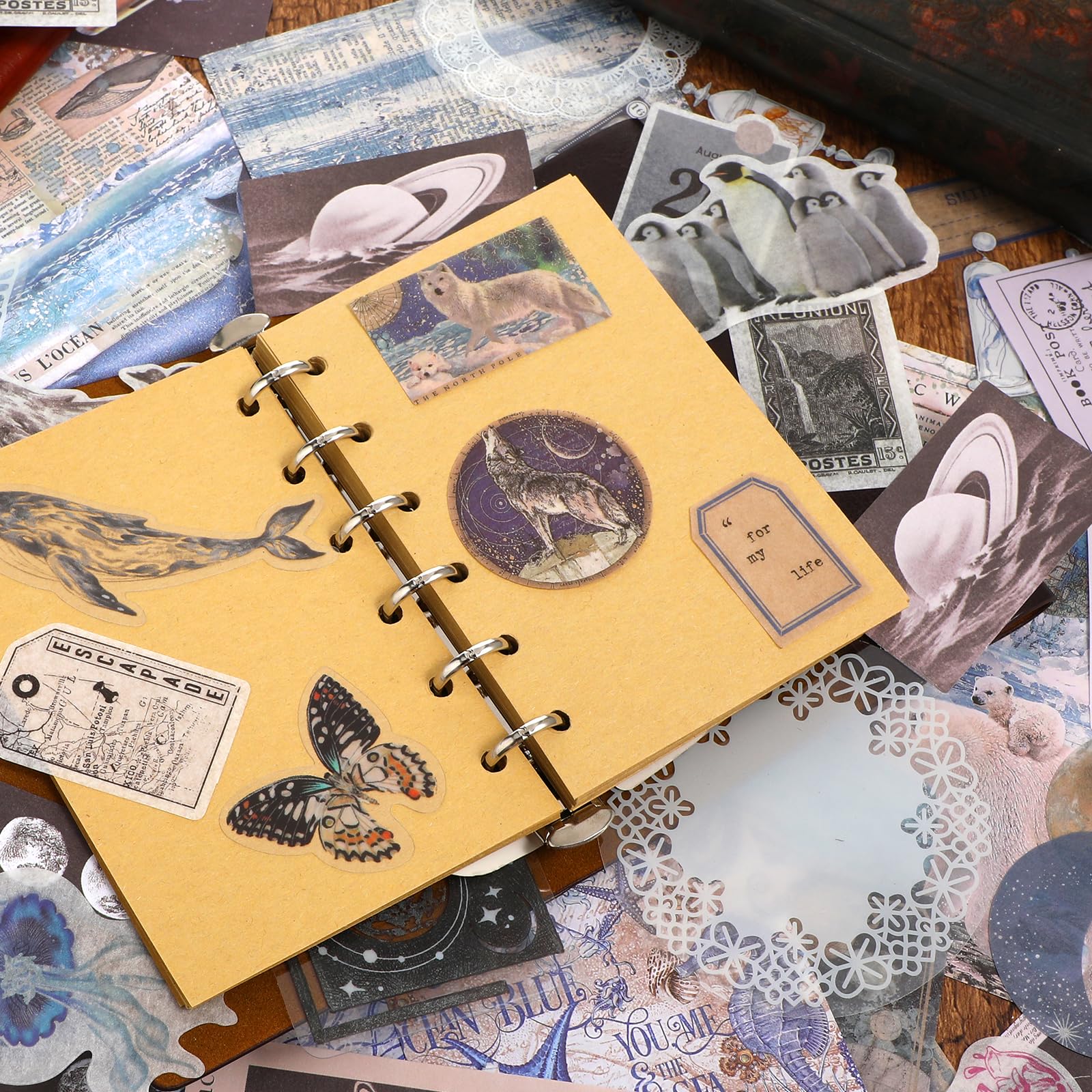 200 Pieces Vintage Scrapbook Kit Scrapbook Stickers Journaling Stickers for Scrapbooking Materials, Planner DIY Arts Craft Collage