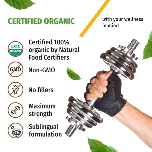 (2 Pack) Organic Vitamin D3 K2 Drops w MCT Oil Omega 3, 5000 IU, Maximum Strength Vitamin D Liquid 5000 IU, No Fillers, Non-GMO Liquid D3 for Faster Absorption, Immune Support (Strawberry, 2 Fl Oz)