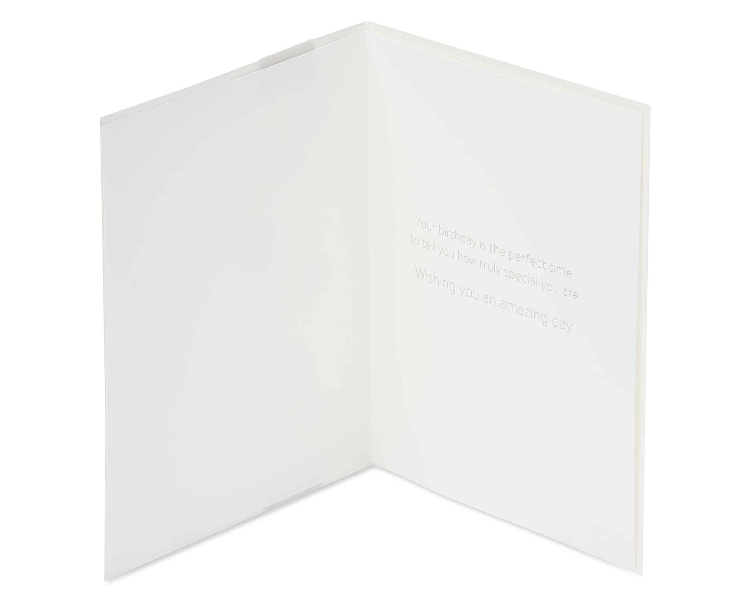 Papyrus Birthday Card (Truly Special)