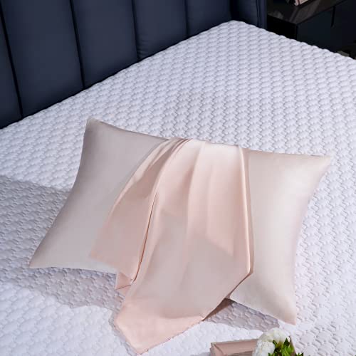 BEIJOEY 100% Mulberry Silk Pillowcase for Hair and Skin,with Hidden Zipper,Both Sides 19 Momme 600 Thread Count Natural Silk Pillow Cover,Soft Breathable Smooth (Light Pink, Standard 20''x26'')