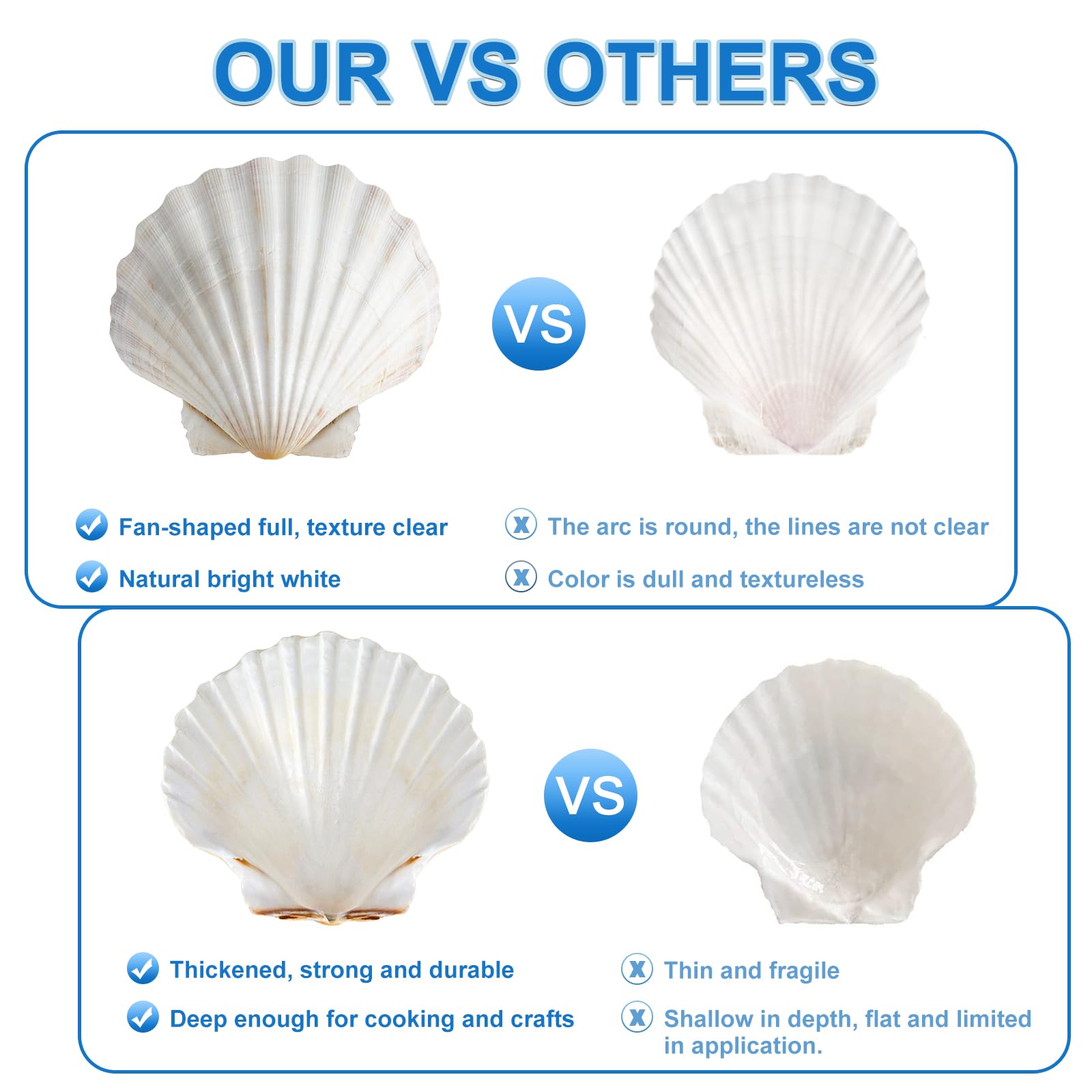 QEQEKAKA 6PCS Scallop Shells 4ββ-4.5" Natural Sea Shells White Hawaiian Scallop Shells for Baking DIY Craft Home Vase Fillers & Beach Wedding Party Decor