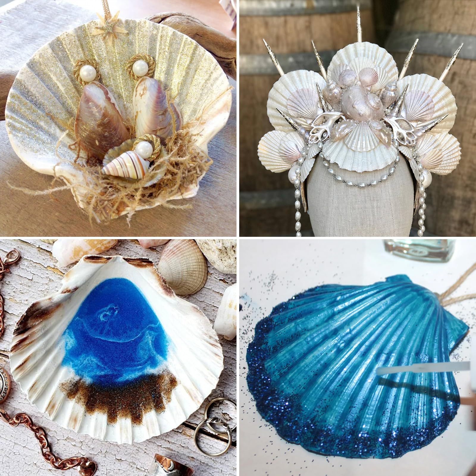 QEQEKAKA 6PCS Scallop Shells 4ββ-4.5" Natural Sea Shells White Hawaiian Scallop Shells for Baking DIY Craft Home Vase Fillers & Beach Wedding Party Decor