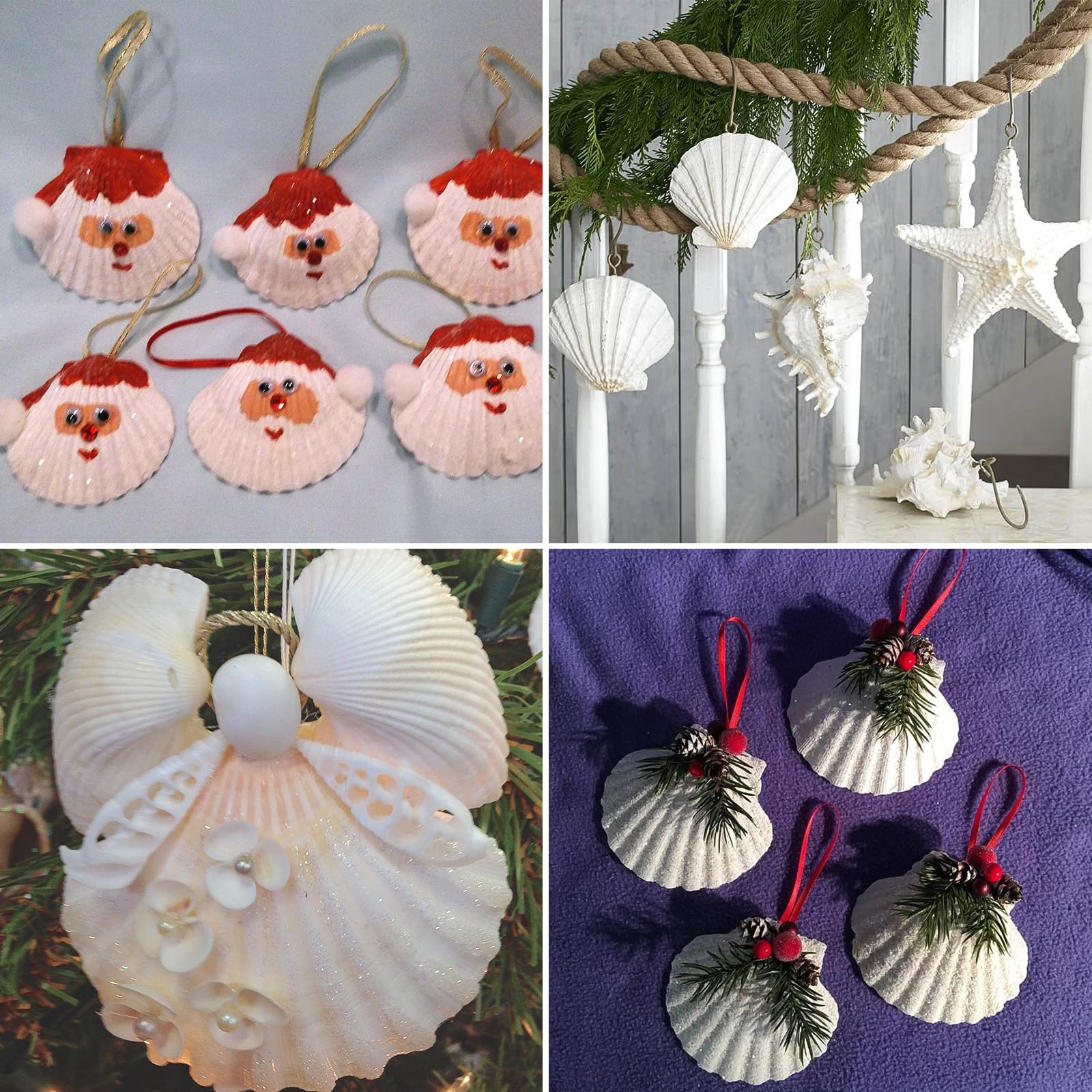 QEQEKAKA 6PCS Scallop Shells 4ββ-4.5" Natural Sea Shells White Hawaiian Scallop Shells for Baking DIY Craft Home Vase Fillers & Beach Wedding Party Decor