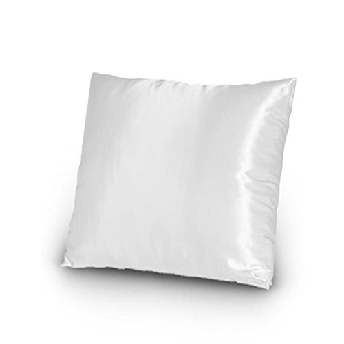 TAOSON Silky Soft Satin Solid Cushion Cover Pillow Cover Pillowcase Pillow Sofa Throw with Hidden Zipper Closure Only Cover 18x18 Inch 45x45cm-White