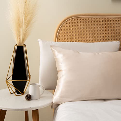 Rillza 100% Pure Mulberry Silk Pillowcase for Hair and Skin, Hidden Zipper (Ivory, Queen 20''x30'', 1 PC), Anti Acne Wrinkle, Soft Smooth, Premium Gift Box, Grade 6A Silk Pillow Case