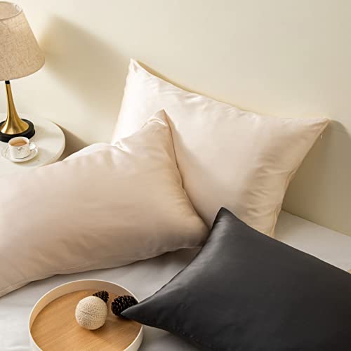 Rillza 100% Pure Mulberry Silk Pillowcase for Hair and Skin, Hidden Zipper (Ivory, Queen 20''x30'', 1 PC), Anti Acne Wrinkle, Soft Smooth, Premium Gift Box, Grade 6A Silk Pillow Case