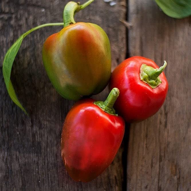 Sweet Pepper Seeds - Pimento - 1 Ounce - Vegetable Seeds, Heirloom Seed Easy to Grow & Maintain, Container Garden