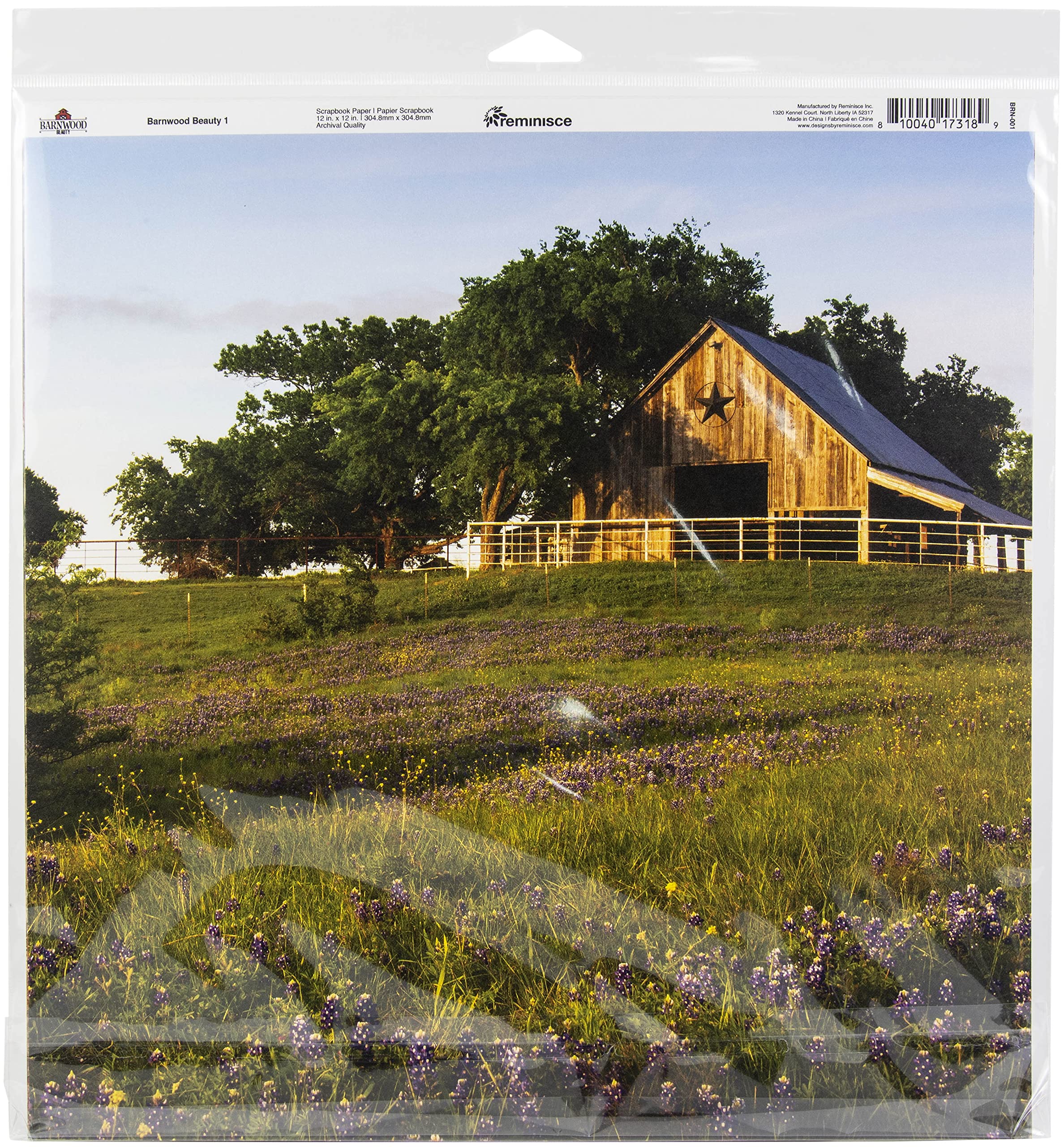 Reminisce Barnwood Beauty Scrapbook Collection Kit Paper Crafts, Multi Color Palette 12x12 inches