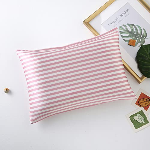 Tim & Tina 22 Momme 100% Pure Mulberry Luxury Silk Pillowcase, Good for Skin and Hair, Facial Beauty (Toddler/Travel, Pink and White Stripes)
