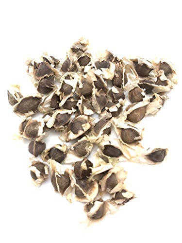 Organic Moringa Seeds | 1000 Seeds Approx.| Premium Quality | PKM1 Variety | Edible | Planting | Moringa Oleifera| Malunggay | Semillas De Moringa | Drumstick Tree | Non-GMO | Product from India