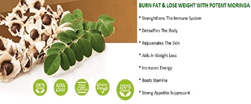 Organic Moringa Seeds | 1000 Seeds Approx.| Premium Quality | PKM1 Variety | Edible | Planting | Moringa Oleifera| Malunggay | Semillas De Moringa | Drumstick Tree | Non-GMO | Product from India