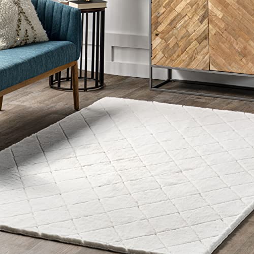 nuLOOM Amy Casual Faux Rabbit Machine Washable Area Rug, 3' 9" x 6', White