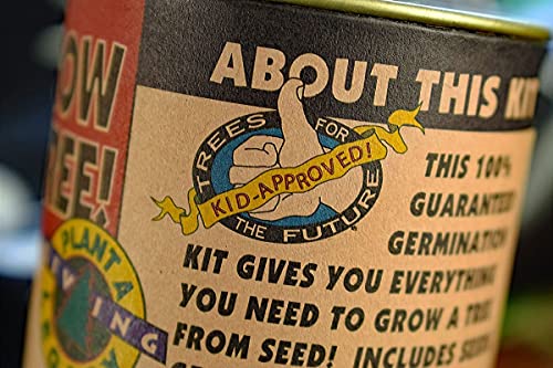 Giant Sequoia | Tree Seed Grow Kit | The Jonsteen Company