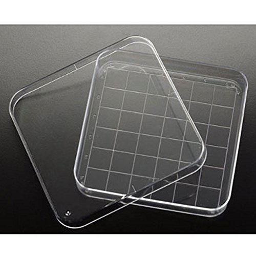 Square Petri Dish, 100 x 15mm, Vented, Alphanumeric Gridlines, 10 per Sleeve, 500 Dishes/Unit