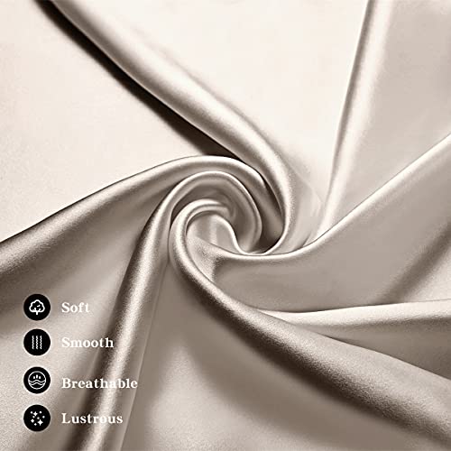 Asmork 100% Mulberry Silk Pillowcase for Hair and Skin, Both Side 19 Momme Real Silk, Hidden Zipper Washable Pure Silk Bed Pillowcase Covers, Envelope Gift Box,1PC (Beige, Standard 20''×26'')