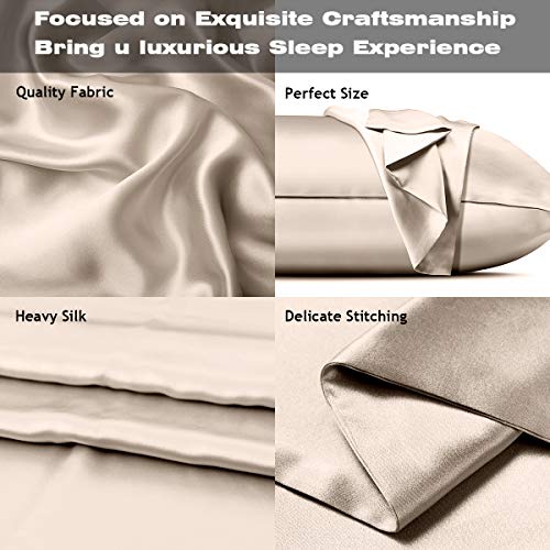 Asmork 100% Mulberry Silk Pillowcase for Hair and Skin, Both Side 19 Momme Real Silk, Hidden Zipper Washable Pure Silk Bed Pillowcase Covers, Envelope Gift Box,1PC (Beige, Standard 20''×26'')