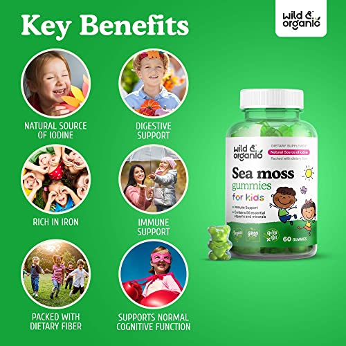 Wild & Organic Sea Moss Gummies Bundle - Superfood Wildcrafted Seamoss Gummy Vitamins for Kids & Adult - Thyroid Health, Digestive & Immune Support Supplements w/ Raw Irish Moss Bladderwrack - 2 Pack