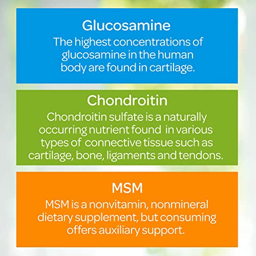 Puritan's Pride Triple Strength Glucosamine, Chondroitin & Msm Joint Soother, 360 Count (Pack of 2), Total 720 Count