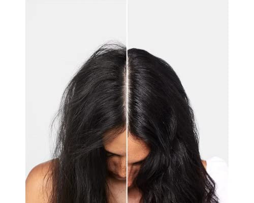 Paul Mitchell Clean Beauty Scalp Therapy Conditioner, Gently Conditions + Cools All Hair Types, Especially Dry, Oily + Sensitive Scalps, 8.5 oz.