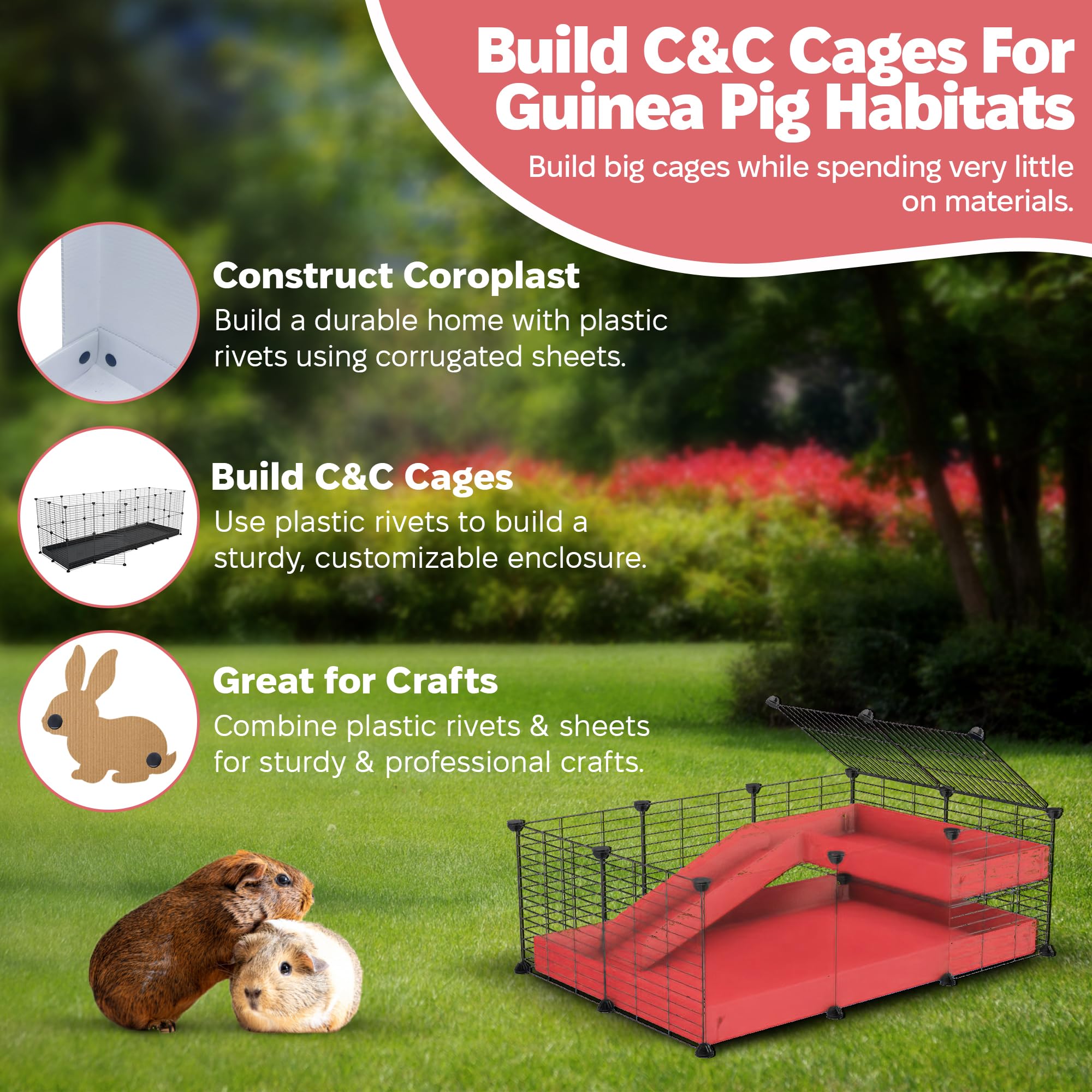 Plastic Ratchet Rivets - .73 in x .41 in (18.7 mm x 10.5 mm) - Construct Coroplast Guinea Pig or Hedgehog Habitats use for C&C Cages (Pack of 200) by Snout and Shell