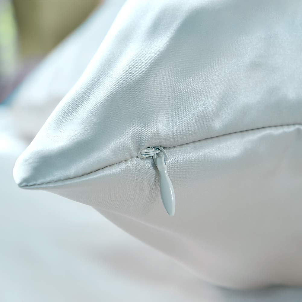 THXSILK 100% Silk Pillowcase for Hair and Skin Luxury 25 Momme Mulberry Silk, Pillow Cases with Hidden Zipper (Standard, Light Blue)