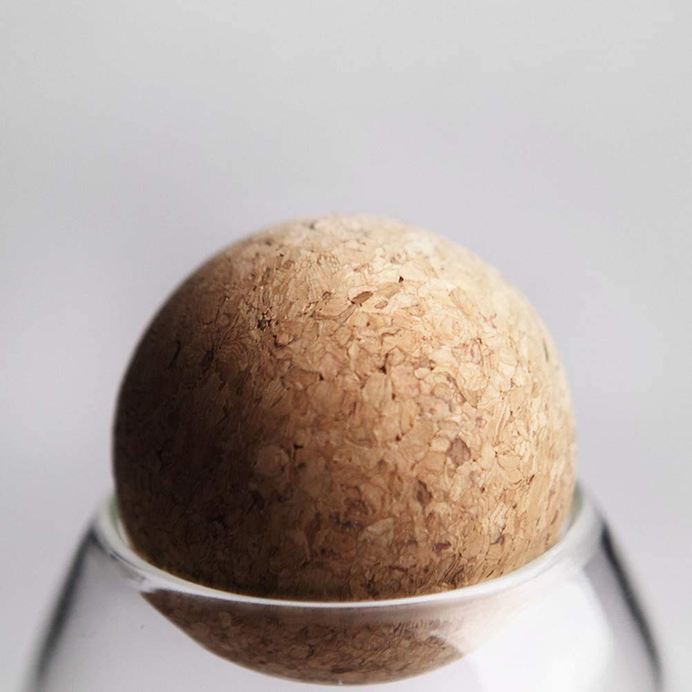 Piscepio Glass Jar with Wood Lid Ball Jar Small Food Storage Container Clear Candy Jars Canister Sugar Coffee Tea Beans Spice Salt Storage 2 PSC 500 ML