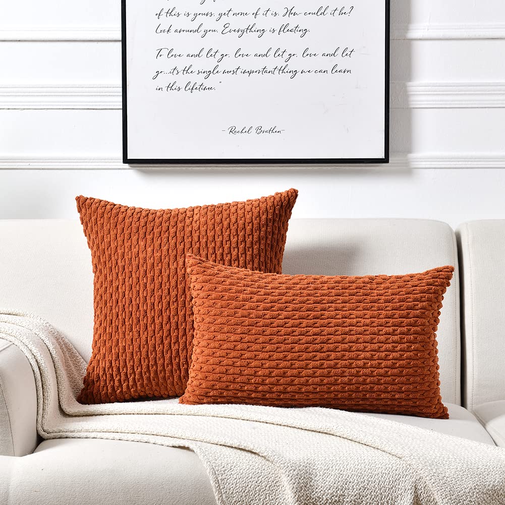 Fancy Homi 2 Packs Rust Decorative Throw Pillow Covers 18x18 Inch for Couch Bed Sofa, Modern Farmhouse Boho Home Decor, Soft Cute Plush Corduroy Cushion Case 45x45 CM