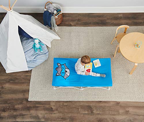 Regalo My Cot Pals Small Single Portable Toddler Bed , Raccoon, Blue , 48x24.5x9 Inch (Pack of 1)