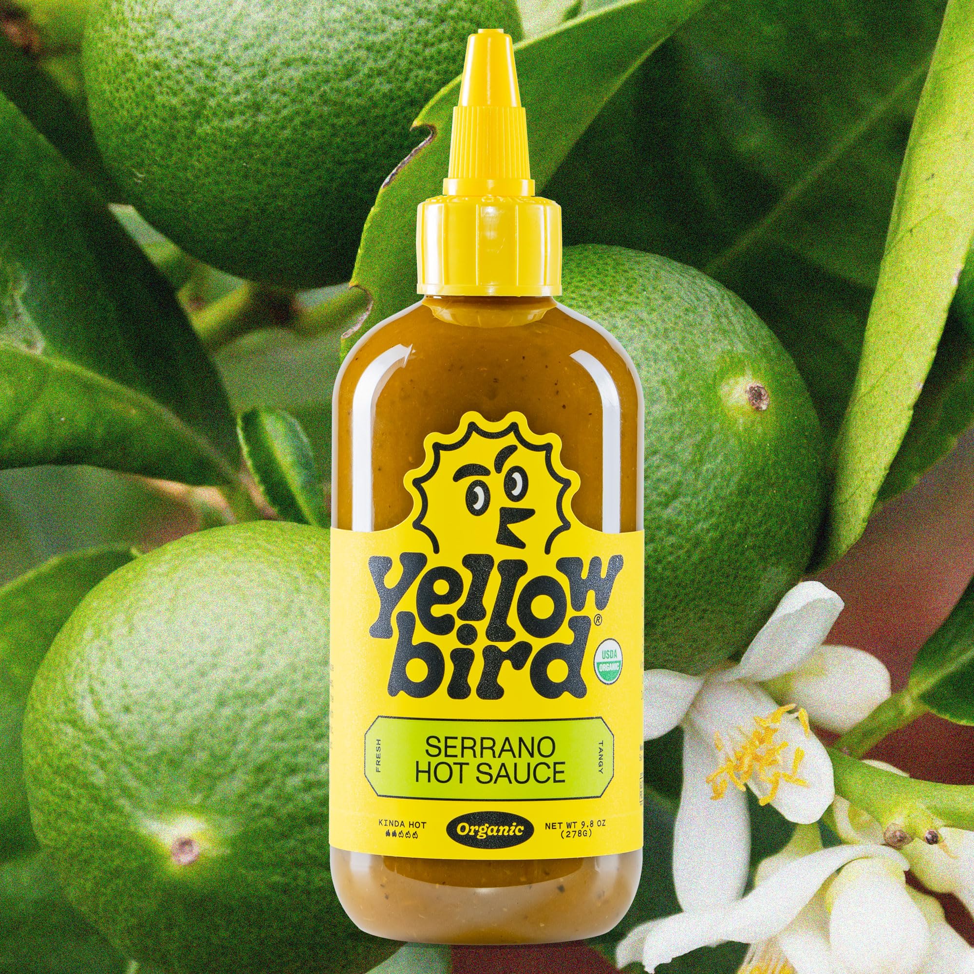 Organic Serrano Hot Sauce by Yellowbird - Organic Hot Pepper Sauce with Serrano Peppers, Cucumbers, and Lime - Plant-Based, Gluten Free, Non-GMO - Homegrown in Austin - 9.8 oz
