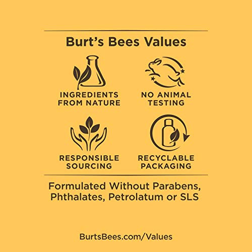 Burt's Bees Easter Basket Stuffers, 6 Mini Products - Coconut Foot Cream, Milk & Honey Body Lotion, Soap Bark & Chamomile Deep Cleansing Cream, Res-q Ointment, Hand Salve & Beeswax Lip Balm