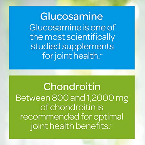 Puritans Pride Glucosamine Chondroitin Mini Tabs Tablets, 120 Count