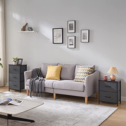 Somdot Nightstand with 2 Drawers, Bedside Table Small Dresser with Removable Fabric Bins for Bedroom Nursery Closet Living Room - Sturdy Steel Frame, Wood Top, Pull Handle - Charcoal Grey/Dark Walnut