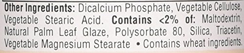 Puritans Pride Super Strength Multi Enzyme, 120 Count