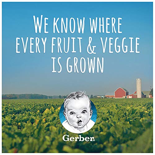 Gerber My 1st Fruits and Veggies Stage 1 Baby Food Starter Pack Bundle, 2 items, 2 Ounce Tubs, (12 Tubs Total)