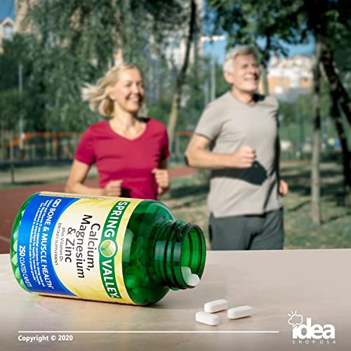Spring Valley Calcium, Magnesium and Zinc Plus Vitamin D3 Coated Caplets, 250 Ct (2 Pack) Bundle With Exclusive "Vitamins & Minerals A to Z" - Better Idea Guide (3 Items)