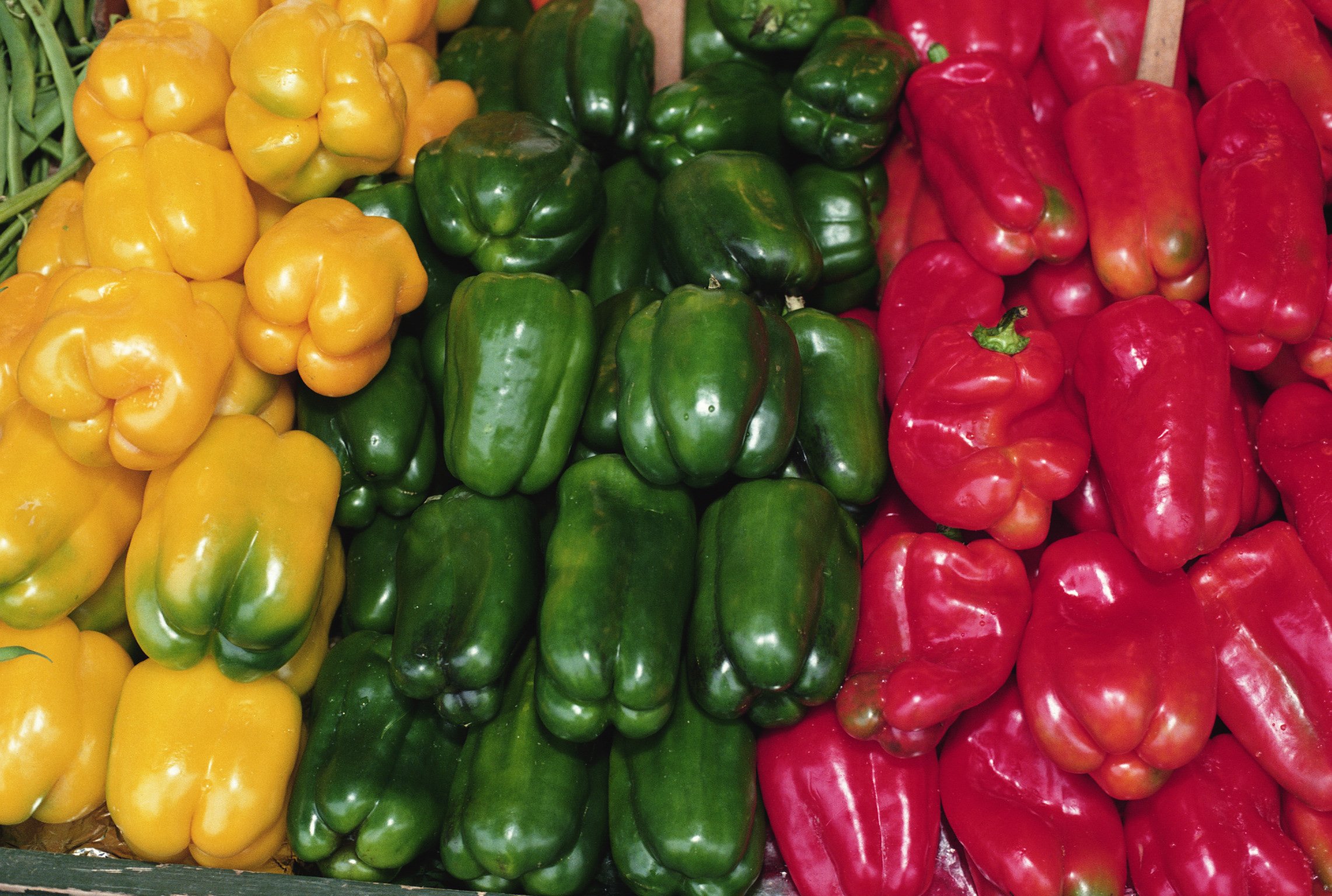 NIKA SEEDS - Seeds Vegetable Sweet Bell Pepper Rainbow Mix - 30 Seeds
